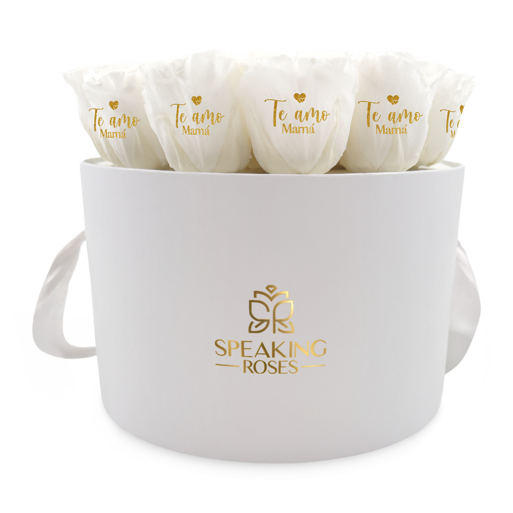 Magnaro Bloom - Te Amo Mama Speaking Roses