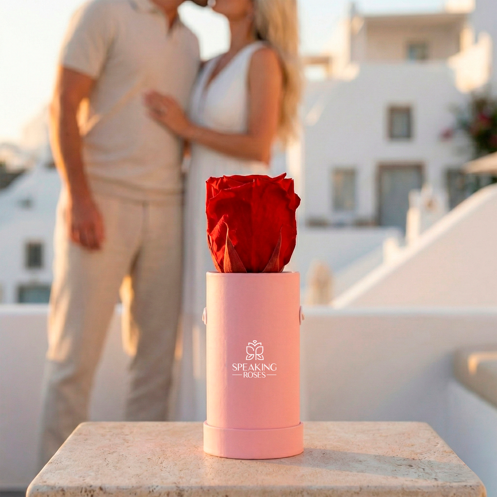 Solo Bloom - Valentine's Day Collection Speaking Roses