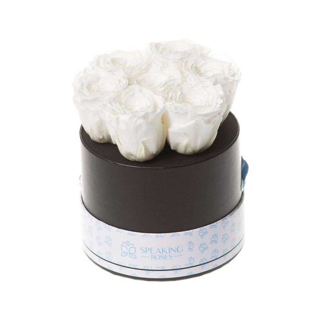 Azure Bloom - Round Collection Speaking Roses